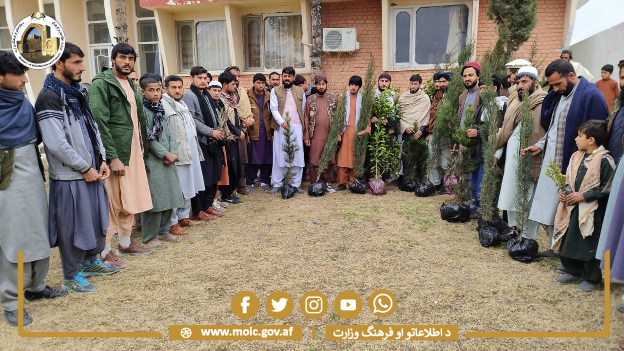 Laghman Department of Information and Culture launched a planting trees ...